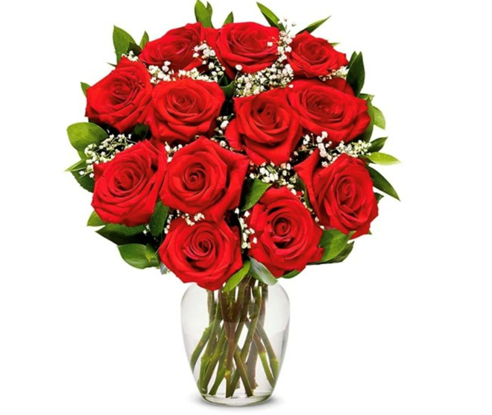 Premium Short Stem Roses – Santa Clara Fine Florals